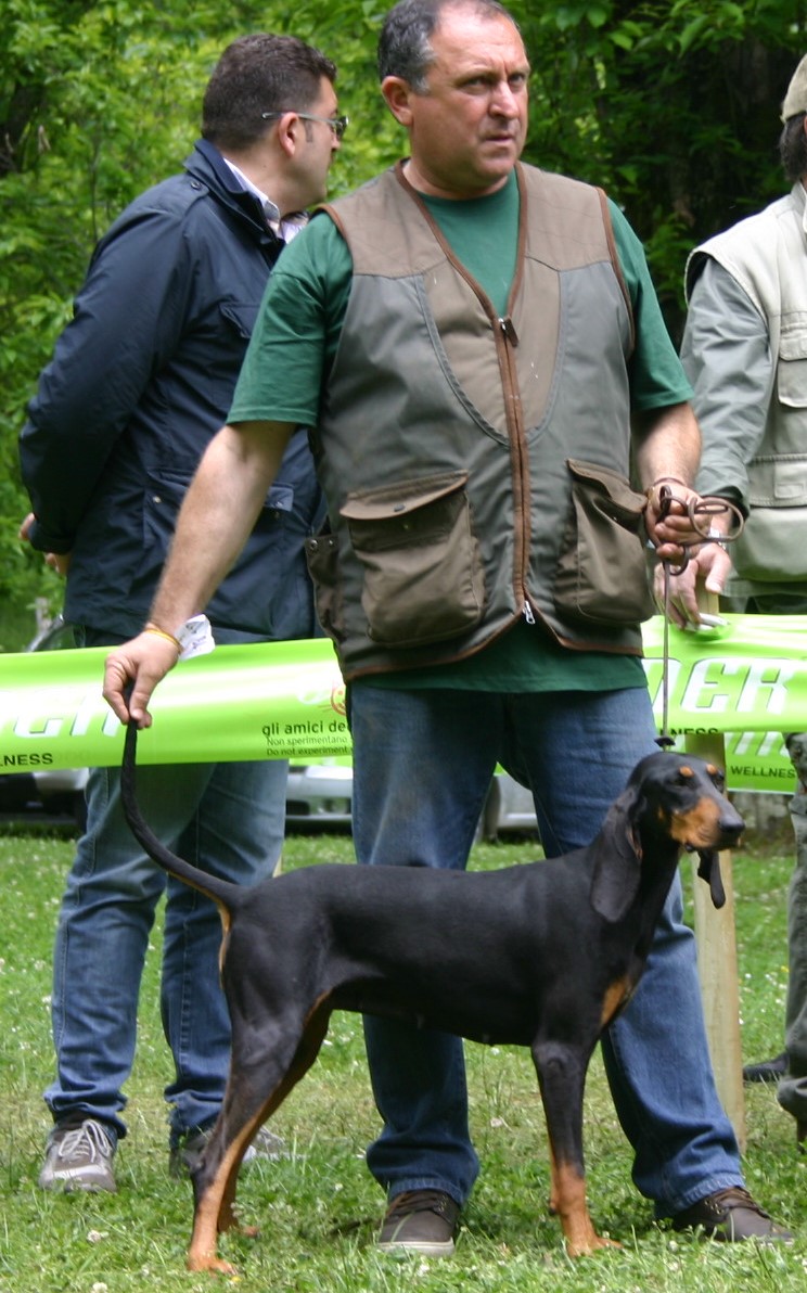 VINCENZO SOPRANO, IL SEGUGIO NEL CUORE... - Caccia Oggi